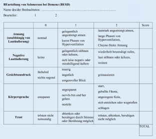 Beurteilung von Schmerz bei Demenz (BESD) | SpringerLink