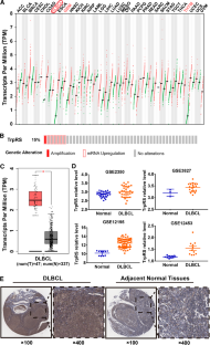 Design and synthesis of novel spirooxindole–indenoquinoxaline ...