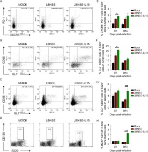 Recombinant rabies virus expressing IL-15 enhances immunogenicity ...