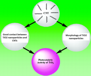 Effect on different TiO 2 photocatalyst supports on photodecolorization ...