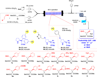 Supported Catalysts for Continuous Flow Synthesis | SpringerLink