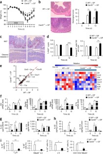 CARD9 impacts colitis by altering gut microbiota metabolism of ...