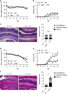 Microfold cell-dependent antigen transport alleviates infectious ...
