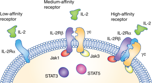 Cytokines in clinical cancer immunotherapy | British Journal of Cancer