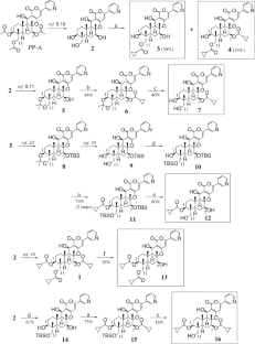 Synthesis and insecticidal efficacy of pyripyropene derivatives. Part ...
