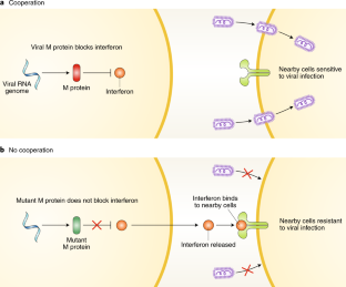 Altruism in a virus | Nature Microbiology