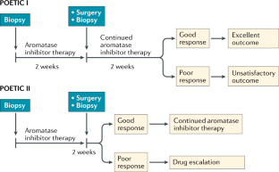 Progress in adjuvant systemic therapy for breast cancer | Nature ...