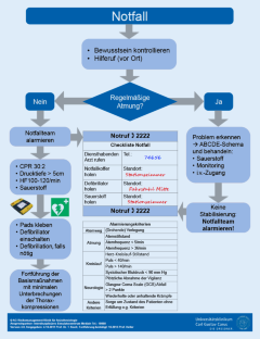Innerklinisches Notfallmanagement | SpringerLink