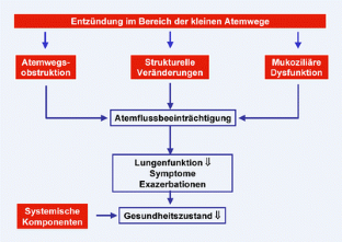 Pathogenese der COPD | SpringerLink