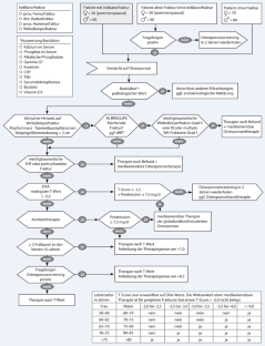 Identifikation, Diagnostik und leitliniengerechte Osteoporosetherapie ...