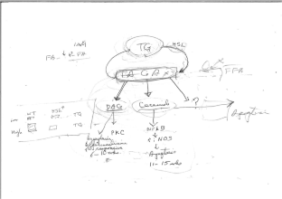 Roger H. Unger, 7 March 1924–22 August 2020 | SpringerLink