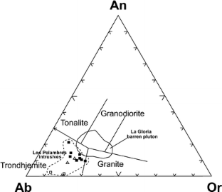 Adakite-like signature of Late Miocene intrusions at the Los Pelambres ...