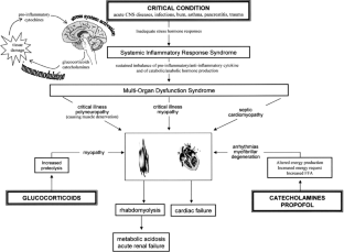 The pathophysiology of propofol infusion syndrome: a simple name for a ...