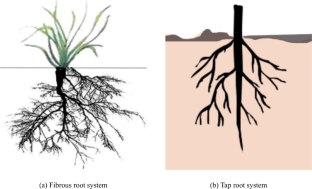 A lightweight bionic design for a scanner based on the 3D architecture ...