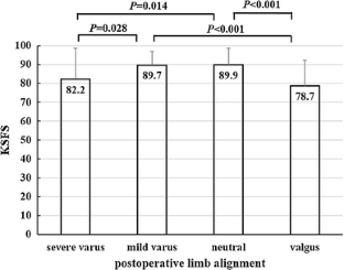 Remaining mild varus limb alignment leads to better clinical outcome in ...