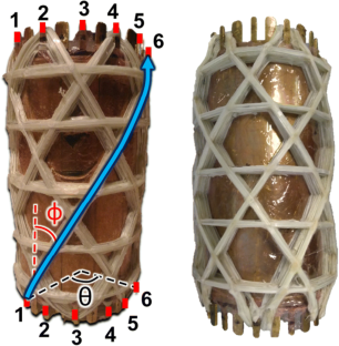 Anisogrid thermoplastic composite lattice structure by innovative out ...
