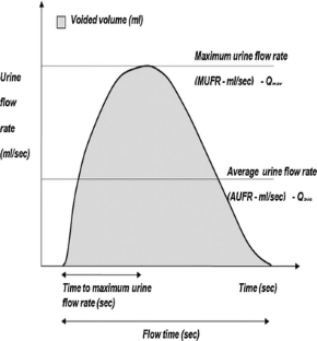 An International Urogynecological Association (IUGA) / International ...