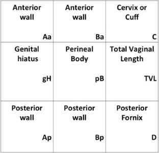 An International Urogynecological Association (IUGA) / International ...