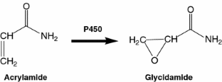 Metabolism of acrylamide to glycidamide and their cytotoxicity in ...