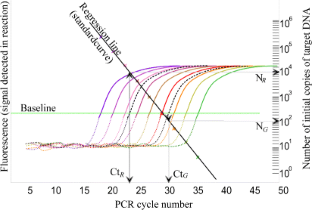 PCR technology for screening and quantification of genetically modified ...