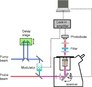 Pump-probe optical microscopy for imaging nonfluorescent chromophores ...