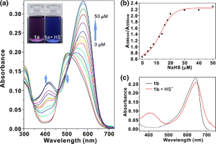 Nile-red and Nile-blue-based near-infrared fluorescent probes for in ...