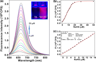 Nile-red and Nile-blue-based near-infrared fluorescent probes for in ...