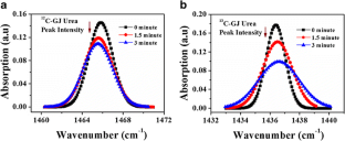Natural 18 O and 13 C-urea in gastric juice: a new route for non ...