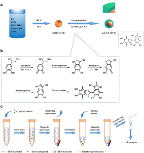 Enantioseparation of chiral β-blockers using polynorepinephrine-coated ...