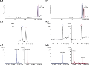 Online mass spectrometry of CE (SDS)-separated proteins by two ...