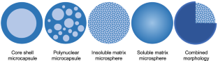 An overview of microencapsulation in the food industry: opportunities ...