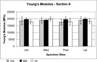 The Longitudinal Young’s Modulus of Cortical Bone in the Midshaft of ...