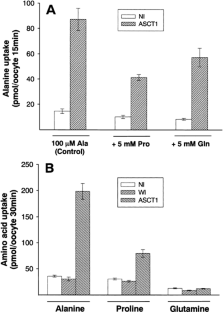 Transport of Proline and Hydroxyproline by the Neutral Amino-acid ...