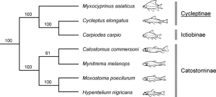 Mitogenomic Evolution and Interrelationships of the Cypriniformes ...