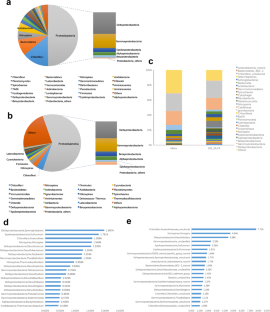 Mangrove Sediment Microbiome: Adaptive Microbial Assemblages and Their ...