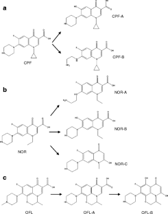 Biodegradation of ofloxacin, norfloxacin, and ciprofloxacin as single ...