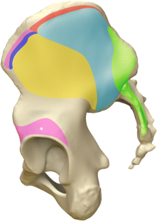 The iliotibial tract: imaging, anatomy, injuries, and other pathology ...
