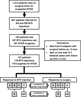 Sonographically guided botulinum toxin injections in patients with ...
