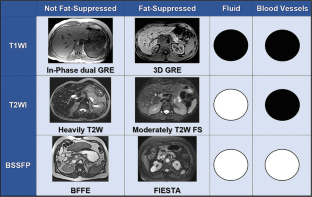 Interpreting body MRI cases: what you need to know to get started ...
