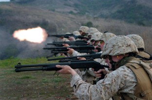 Double-barrel shotgun sign | SpringerLink