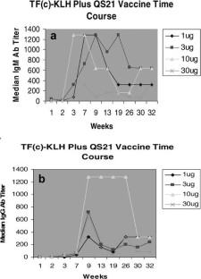 Thomsen-Friedenreich (TF) antigen as a target for prostate cancer ...