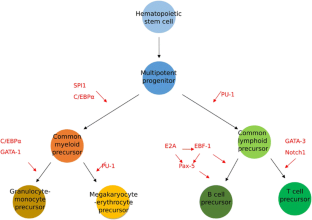 An update on classification, genetics, and clinical approach to mixed ...