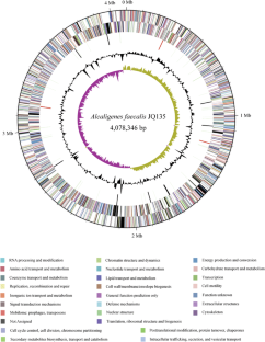 Complete Genome Sequence of Alcaligenes Faecalis Strain JQ135, a ...