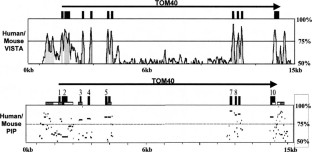Insights from human/mouse genome comparisons | SpringerLink