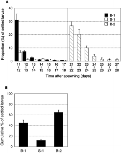 Temporal settlement patterns of larvae of the broadcast spawning reef ...