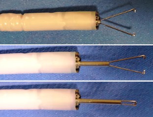 First clinical evaluation of a new single-use flexible cystoscope ...