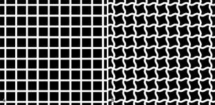 Die Hermann-Gitter-Täuschung: Lehrbucherklärung widerlegt | SpringerLink