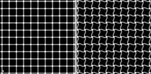 Die Hermann-Gitter-Täuschung: Lehrbucherklärung widerlegt | SpringerLink