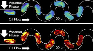 Dual fluorescence ratiometric technique for micromixing ...