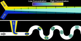 Dual fluorescence ratiometric technique for micromixing ...